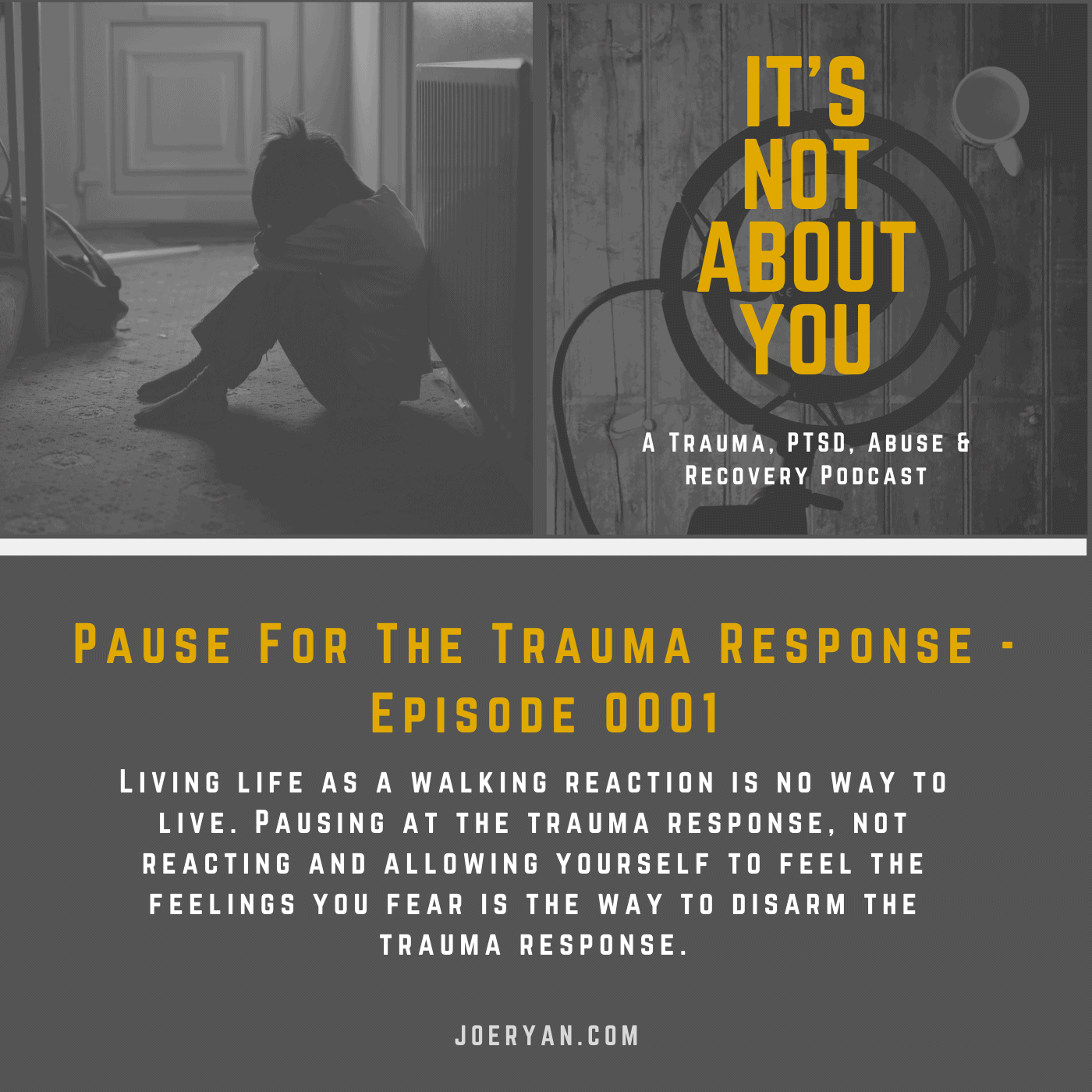 EP 0001 – Pause For The Trauma Response - Joe Ryan