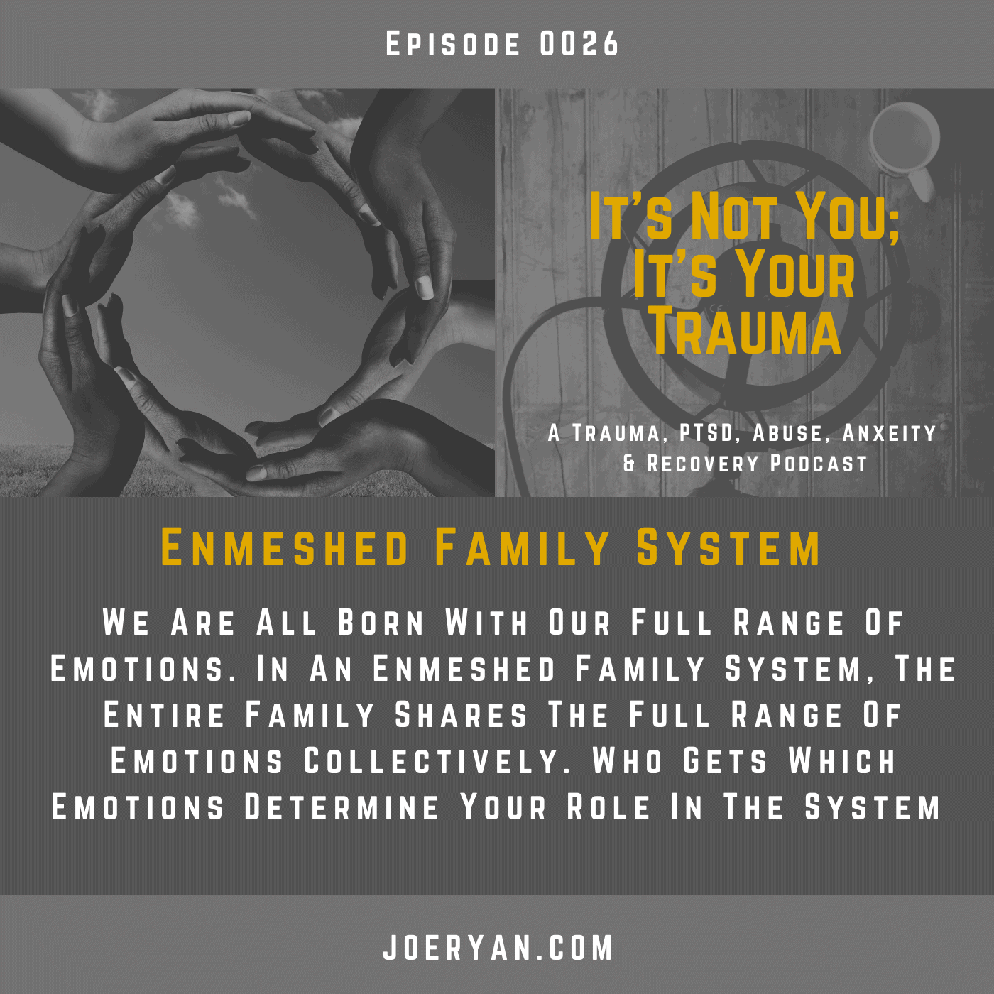 EP 0026 – Enmeshed Family System (Subscription) - Joe Ryan